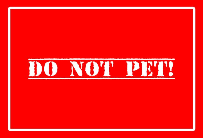 580613 Selbst weiter gestalten – Do Not Pet Schild – Schilder selbst ...