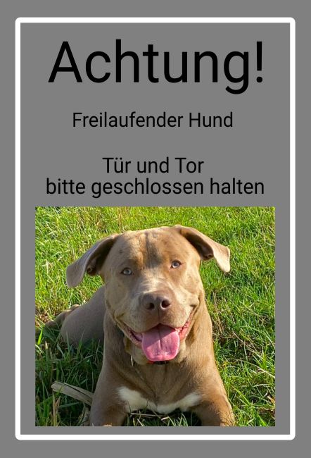 578043 Selbst weiter gestalten – Freilaufender Hund Schild – Schilder ...