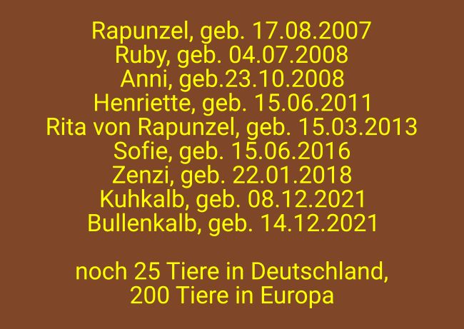 576540 Geburtstage Schild - Schilder selbst gestalten