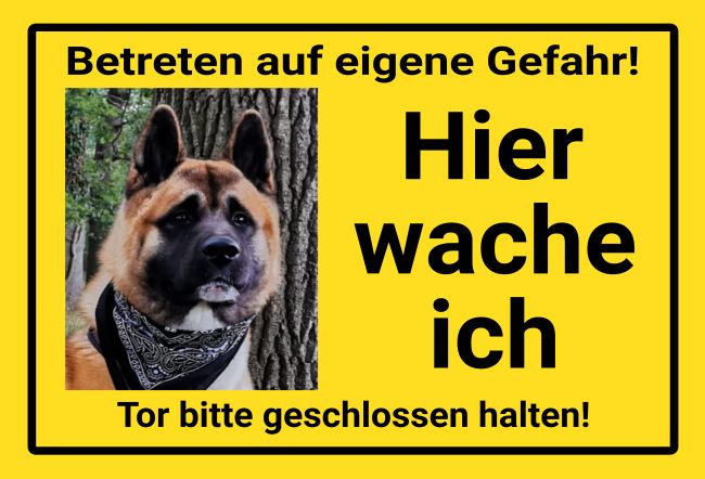 Elegantes Hier Wache Ich Schild Hund Fotos